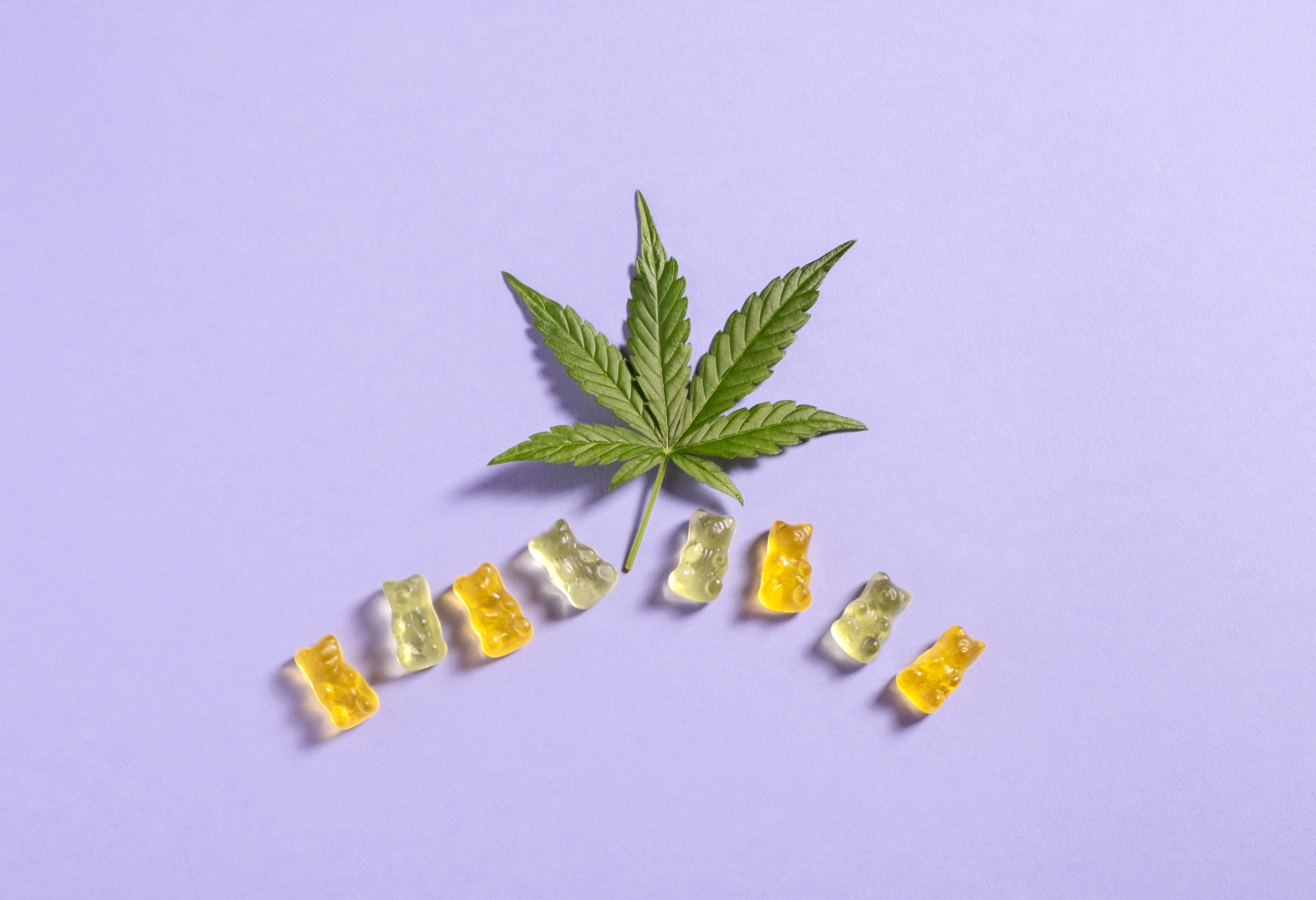 The Rising Popularity of Marijuana Edibles: A Sweet Revolution Introdu